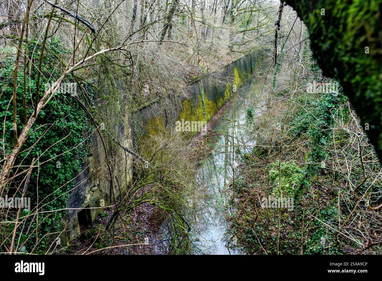 Fort de Malonne dans le bois de la Vecquée fait partie des neufs fort ...