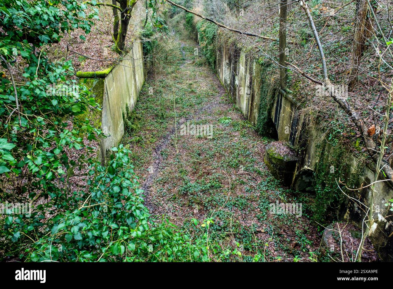 Fort de Malonne dans le bois de la Vecquée fait partie des neufs fort ...