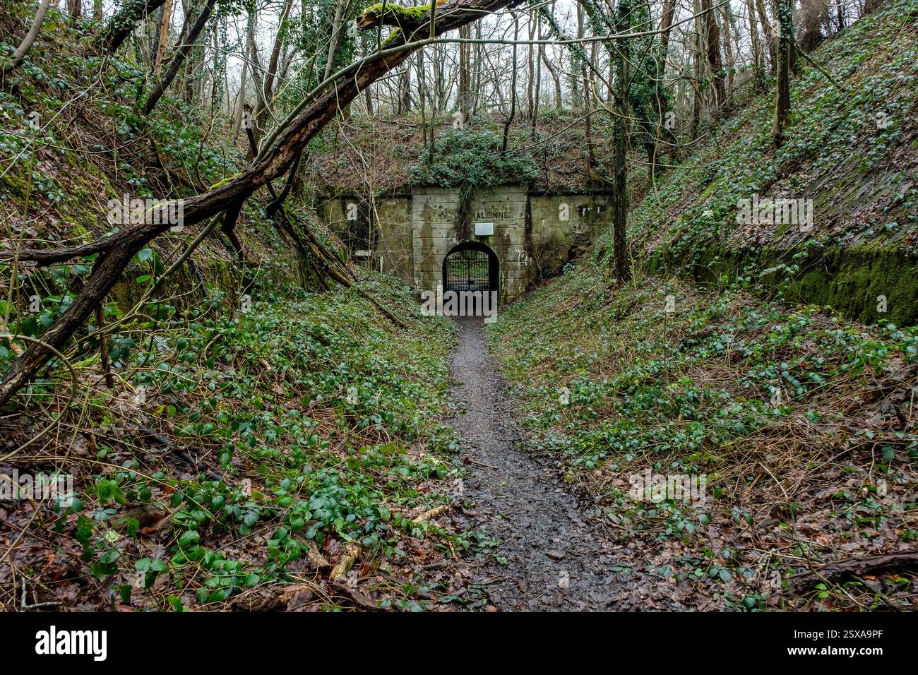 Fort de Malonne dans le bois de la Vecquée fait partie des neufs fort ...