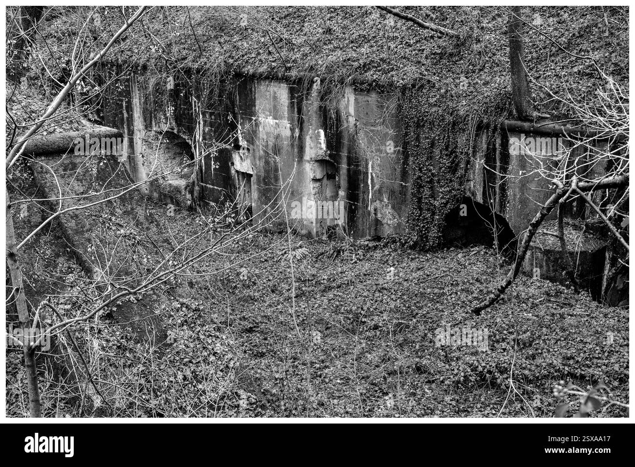 Fort de Malonne dans le bois de la Vecquée fait partie des neufs fort ...