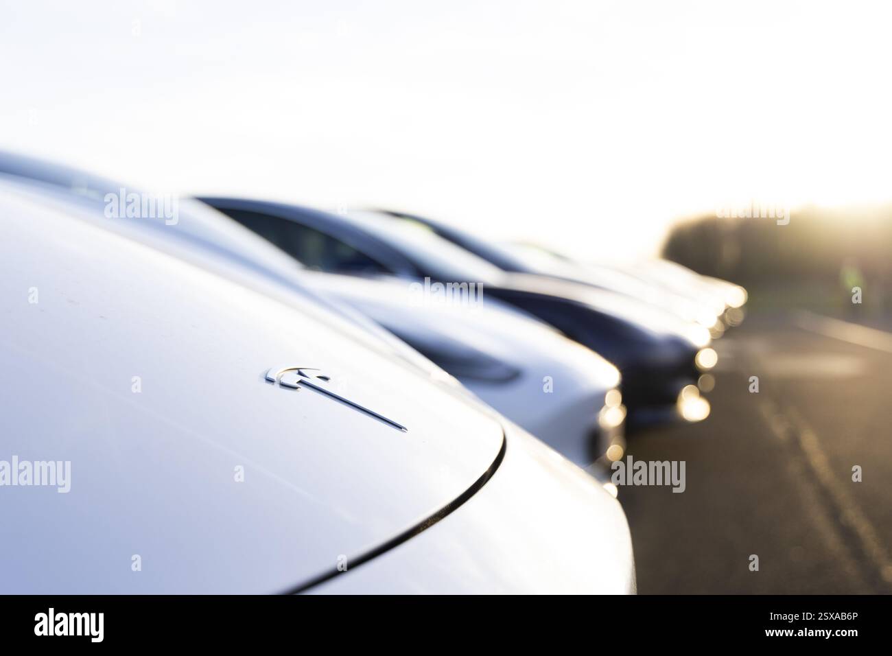 Sint Truiden, Belgium. 23rd Feb, 2025. Tesla cars pictured ahead of a ...