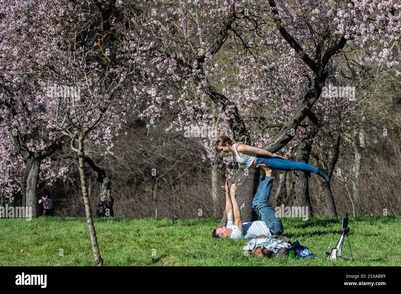Madrid, Spain. 23rd Feb, 2025. A couple perform acrobatics under almond ...