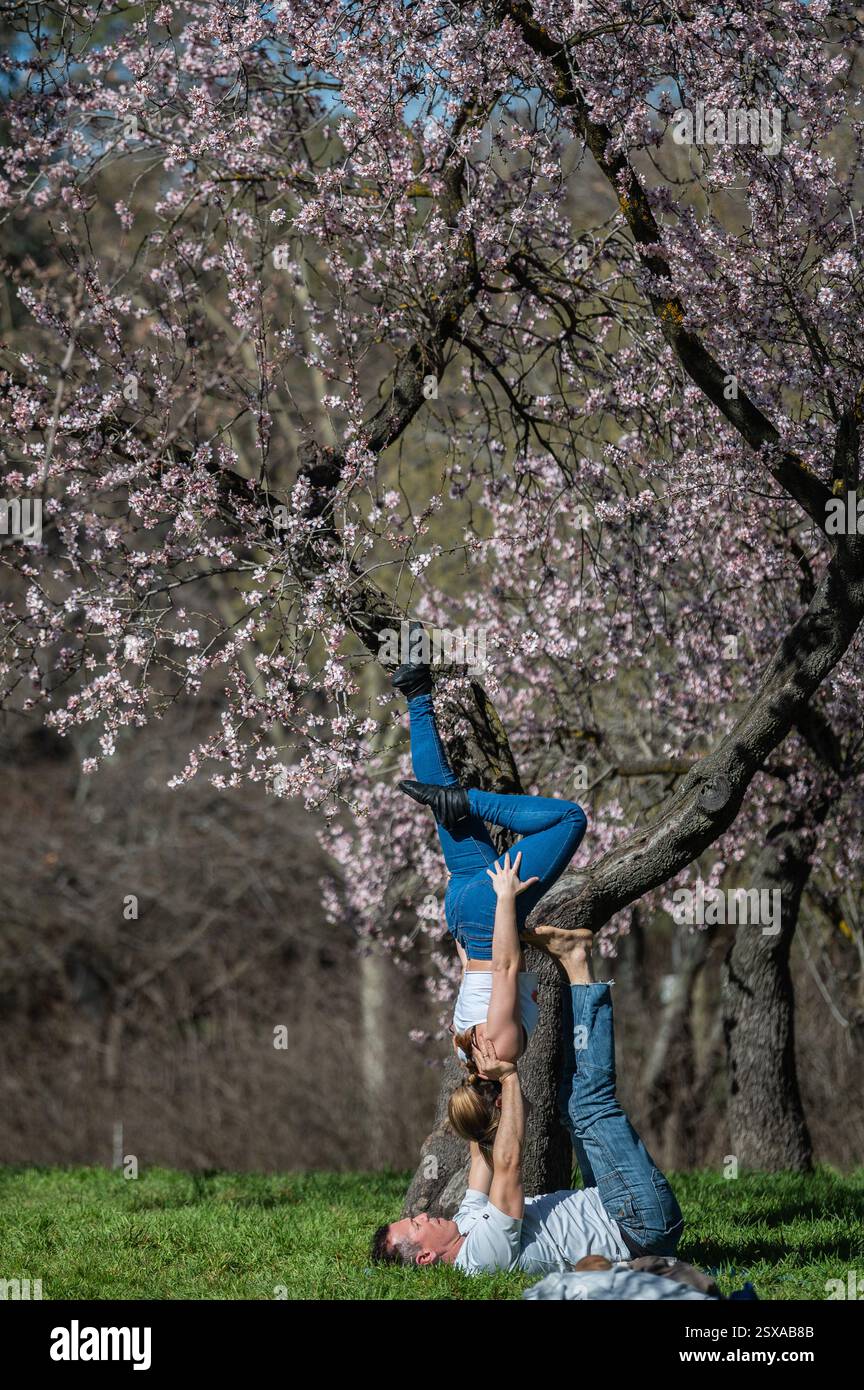 Madrid, Spain. 23rd Feb, 2025. A couple perform acrobatics under almond ...