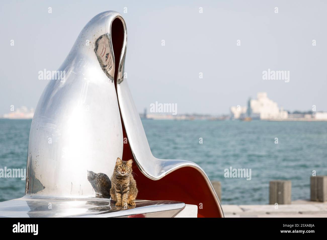 Cats on Al Corniche ahead of the, Qatar. , . FIA World Endurance ...