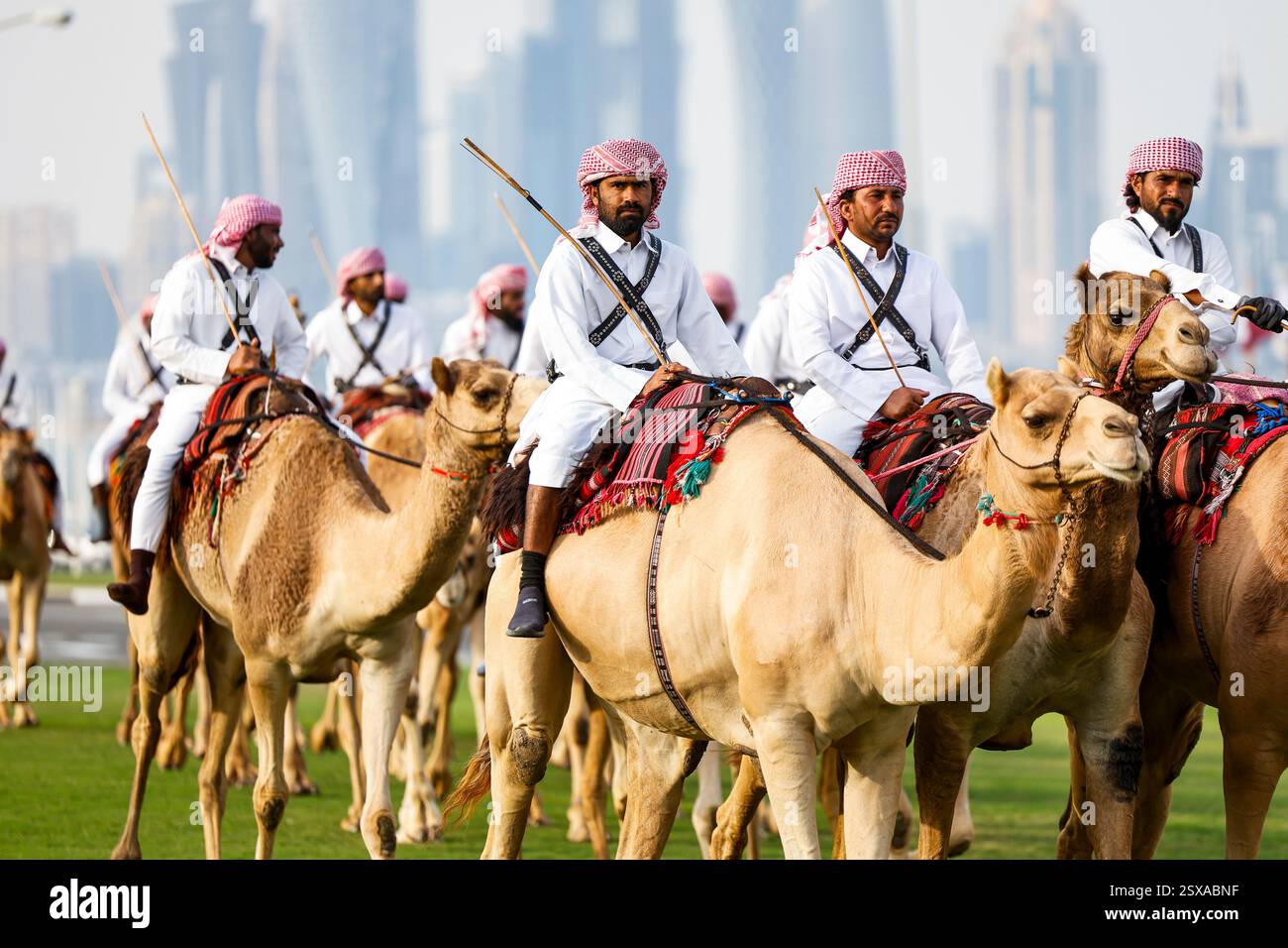 Amiri Diwan & Palace Guard Camels ahead of the, Qatar. , . FIA World ...