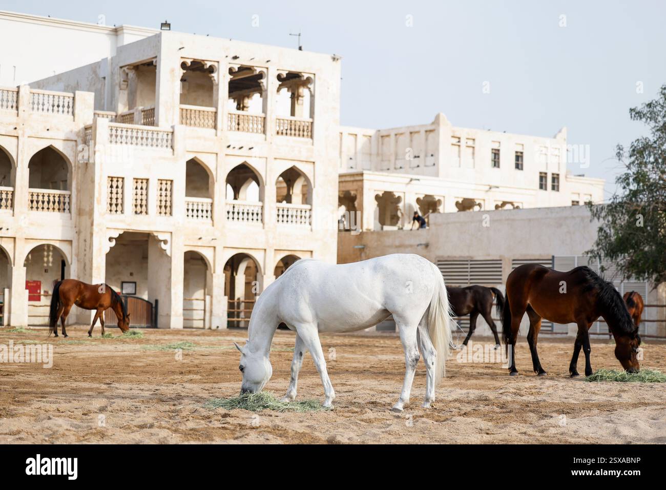 Horses Stables, Souq Waqif ahead of the, Qatar. , . FIA World Endurance ...