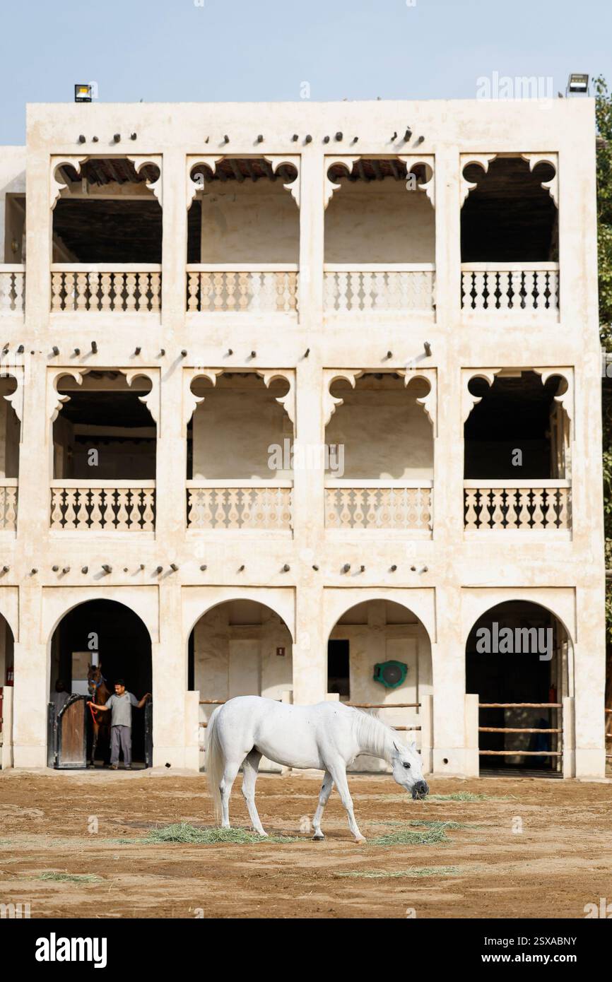 Horses Stables, Souq Waqif ahead of the, Qatar. , . FIA World Endurance ...