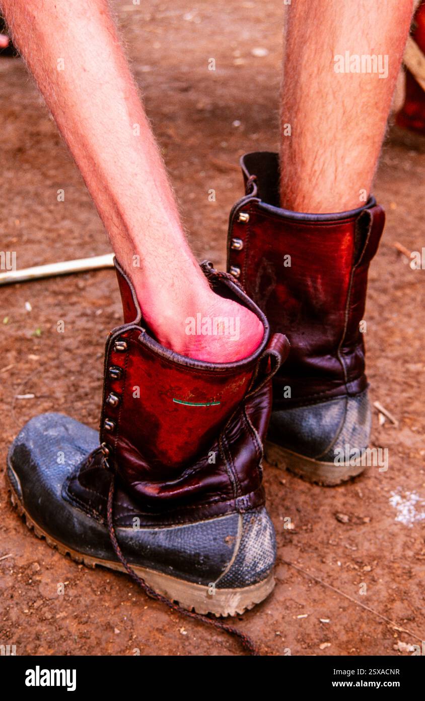 780 feet hi-res stock photography and images - Alamy