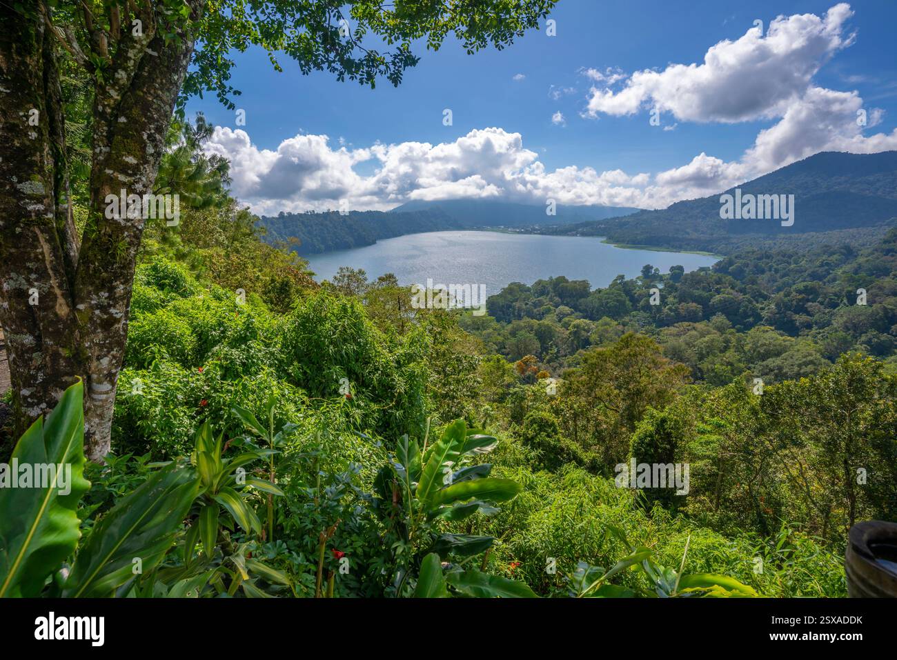 View of Buyan Lake from Twin Lake View, Wanagiri Sukasada Pancasari ...