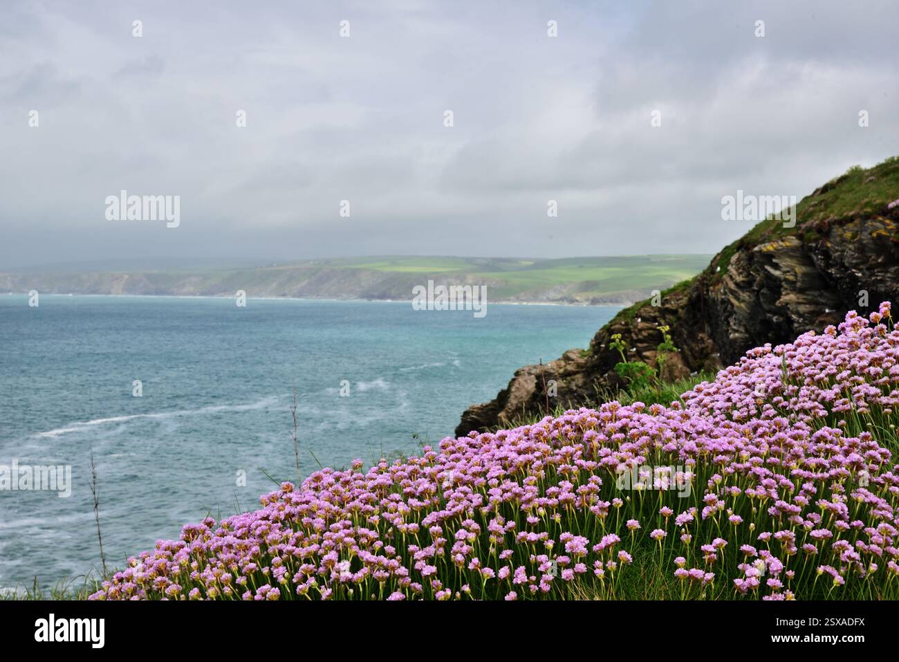 View of the North Cornwall coast from the South west Coast Path near ...