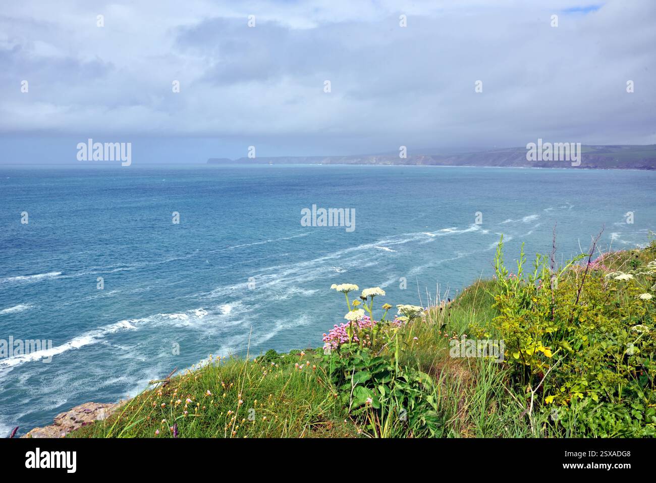 View of the North Cornwall coast from the South west Coast Path near ...