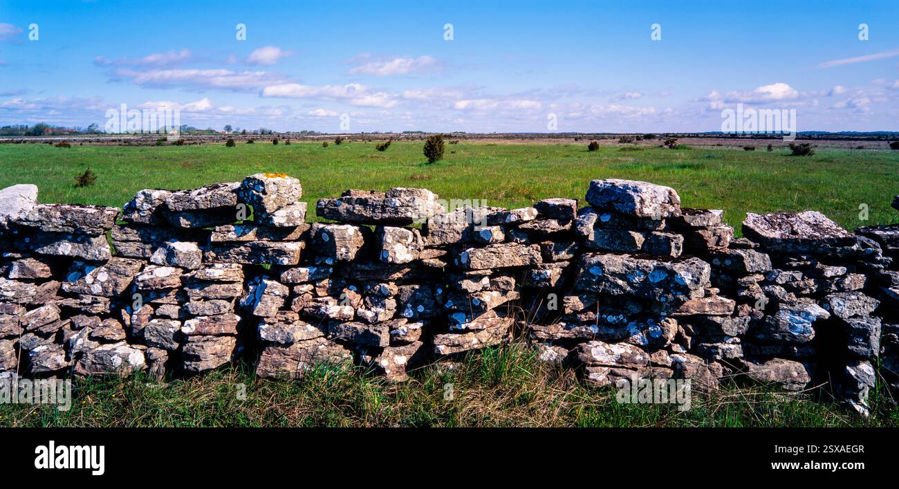 Stone wall. Öland, Sweden Stock Photo - Alamy