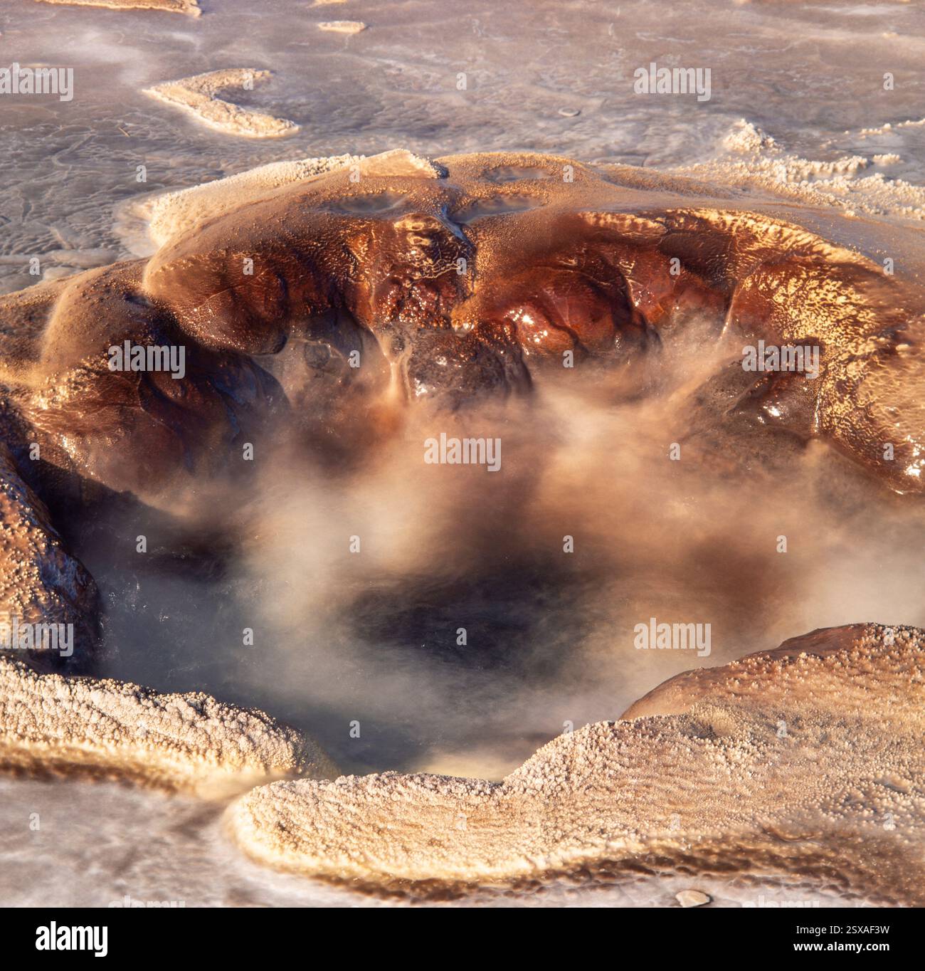 Hot spring nature hi-res stock photography and images - Alamy