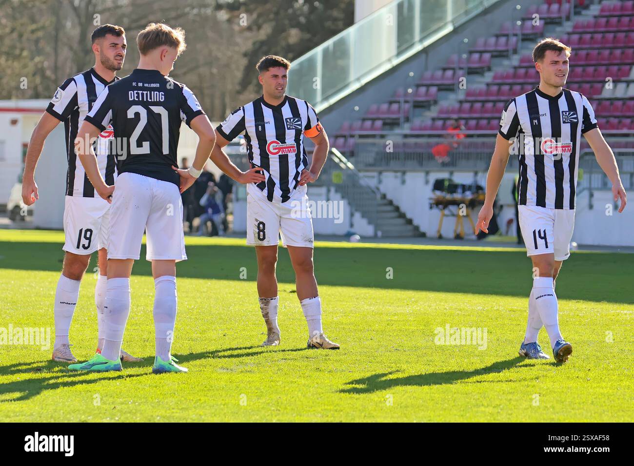 Mainz, Deutschland 23. Februar 2025: Regionalliga Südwest - 2024/2025 ...