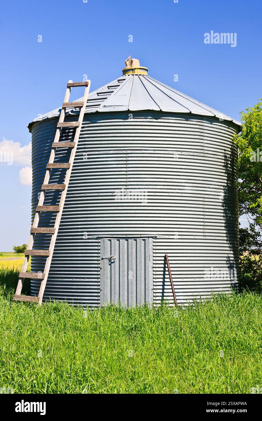 Large metal silo with a ladder on top. The silo is empty and surrounded ...