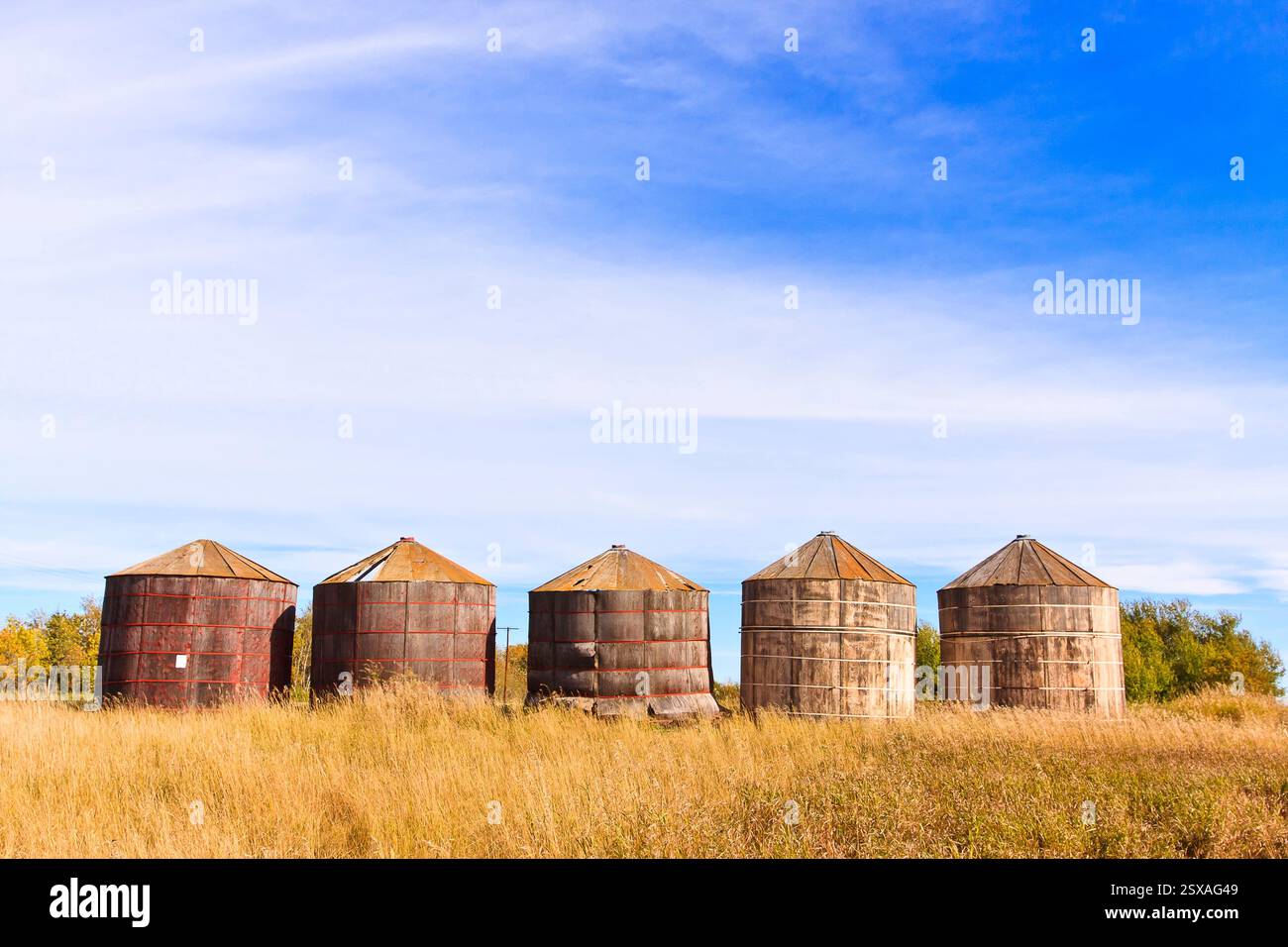 Row of old, rusted metal silos sit in a field. The sky is clear and ...