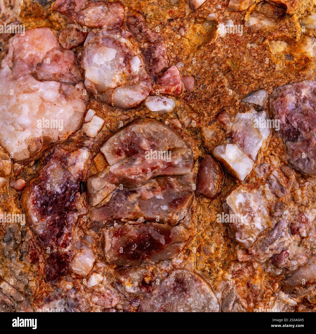 Konglomeratsten hi-res stock photography and images - Alamy