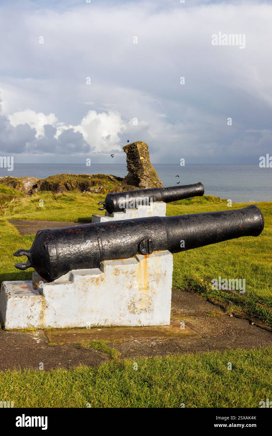 Cannon at An Caislean Dubh, the Black Castle, Wicklow, Ireland Stock ...