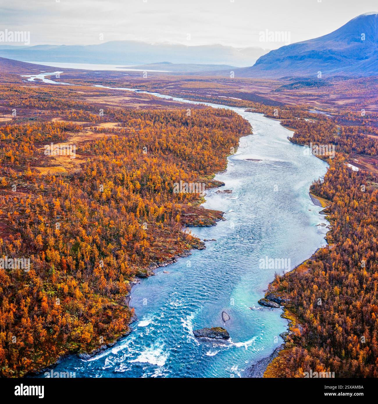 River in Laponia Stock Photo - Alamy