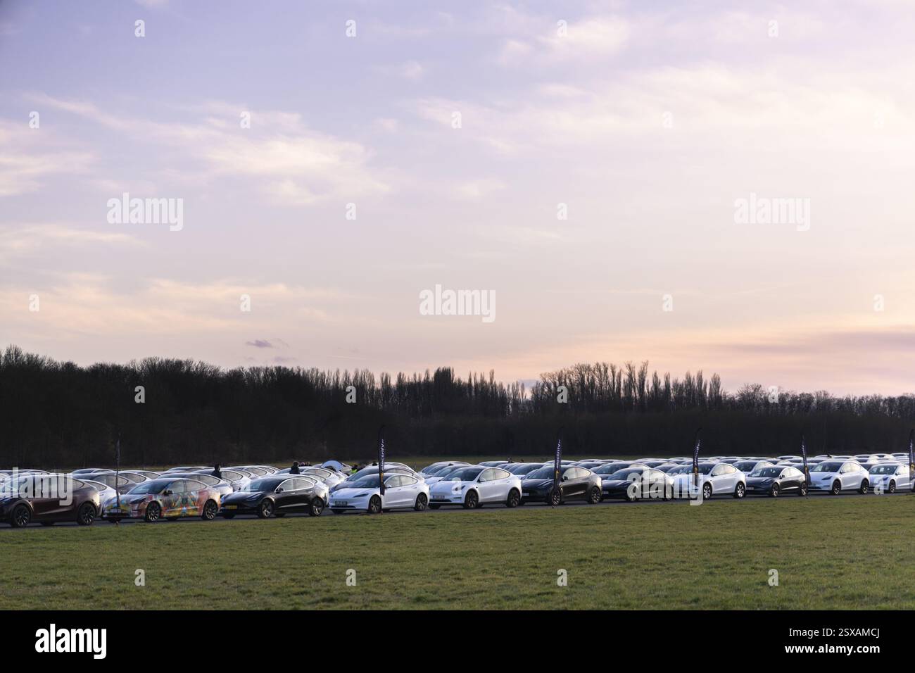 Sint Truiden, Belgium. 23rd Feb, 2025. Tesla cars pictured at a world ...