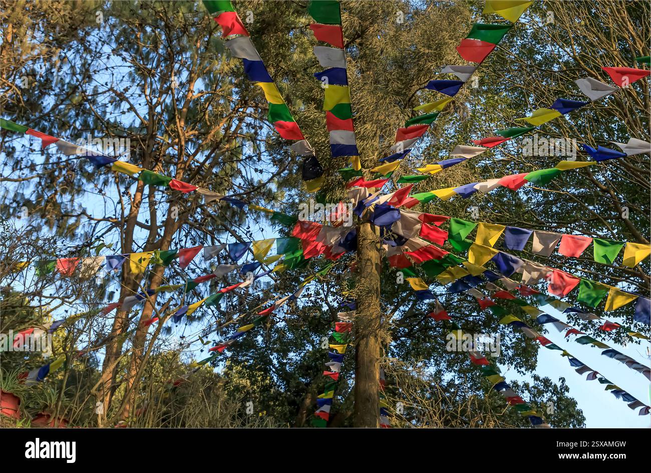 Sarangkat, Nepal - February 9th 2025 - Tibetan Prayer flags attached to ...
