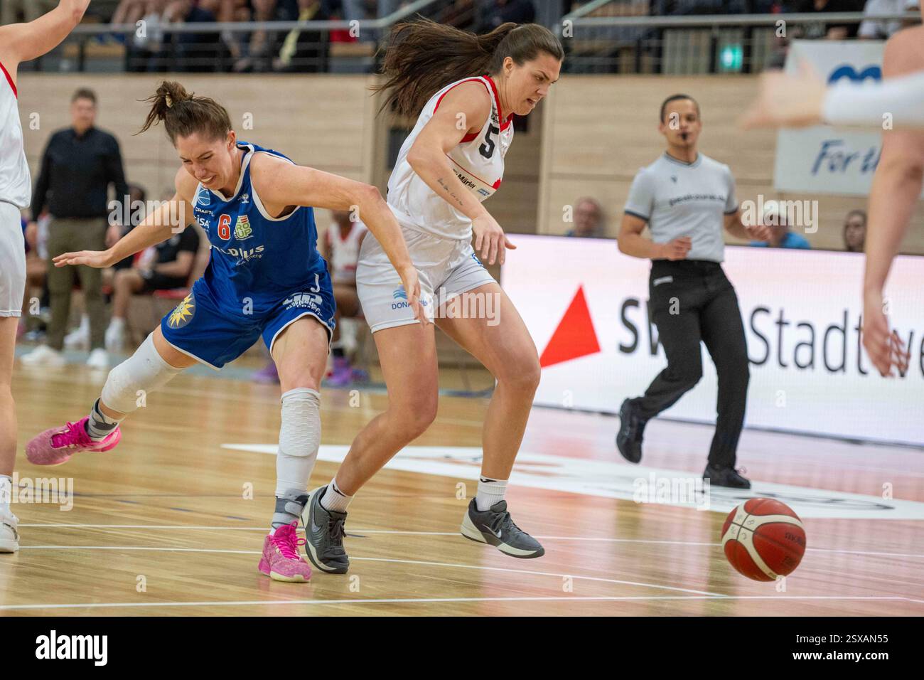 Halle, Deutschland. 23rd Feb, 2025. Halle, Deutschland 23. Februar 2025 ...