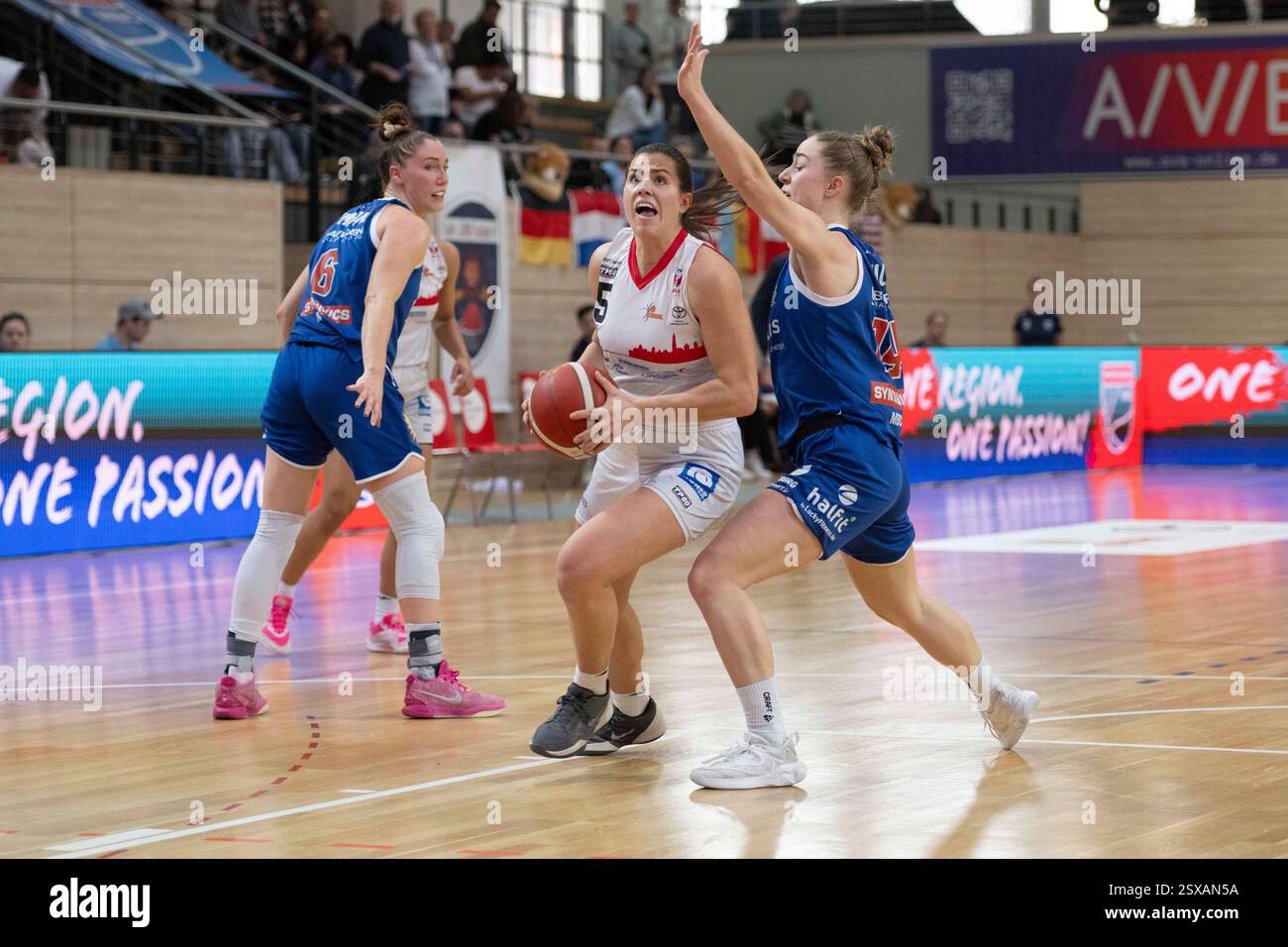 Halle, Deutschland 23. Februar 2025: Toyota DBBL - 2024/2025 ...