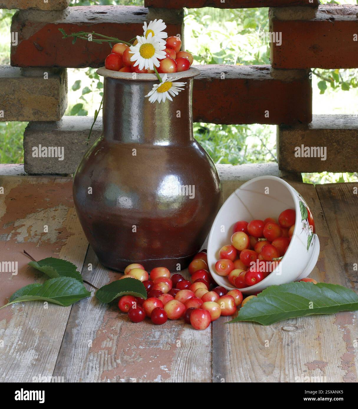 An earthenware jug filled with pink cherries, an overturned porcelain ...