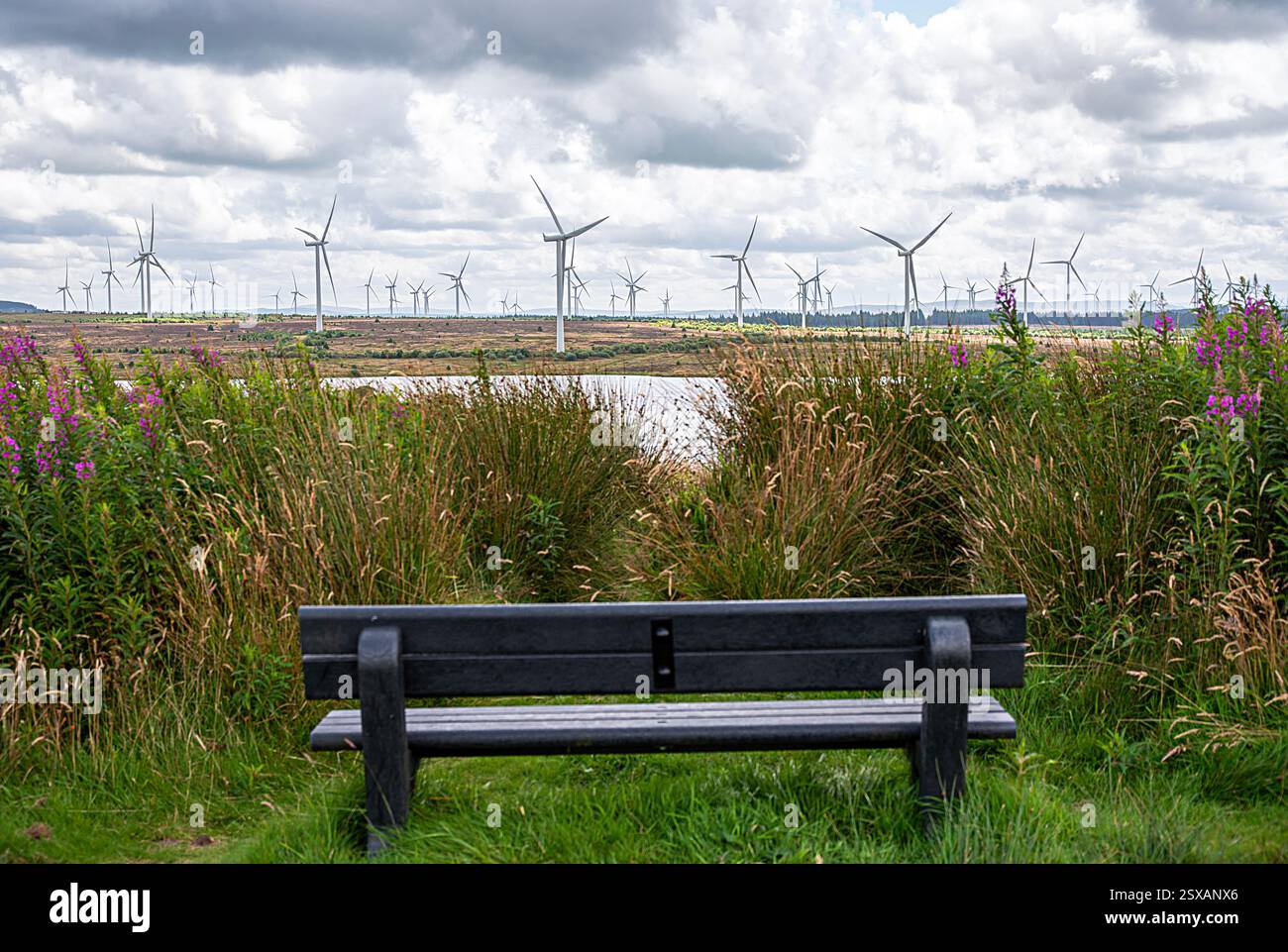 Landscape photography of wind turbines farm; bench, windmills; wind ...
