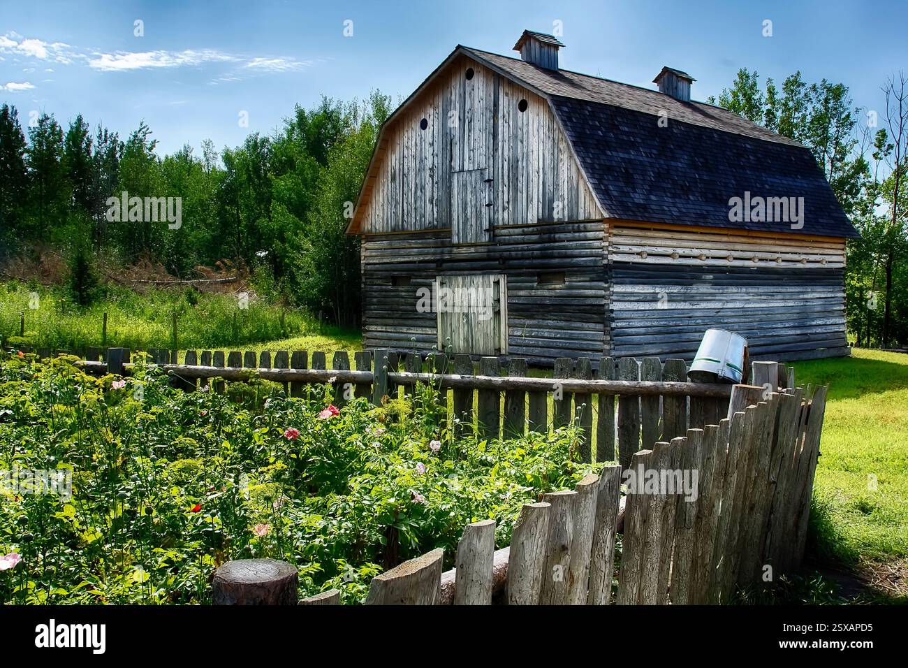 Barn with a white bucket on top of it. The barn is surrounded by a ...