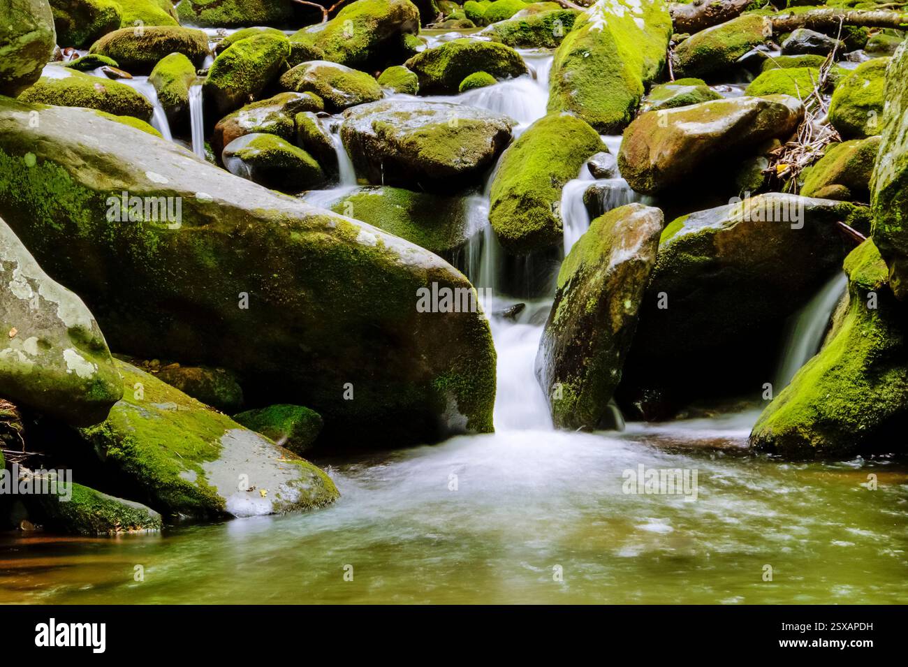 Stream of water flows between large rocks. The water is clear and the ...