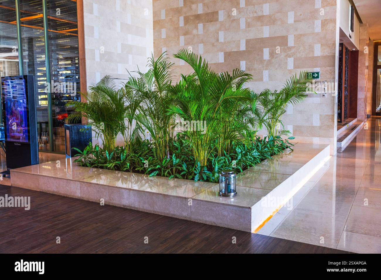 Indoor tropical plants in hotel lobby with modern beige walls and ...