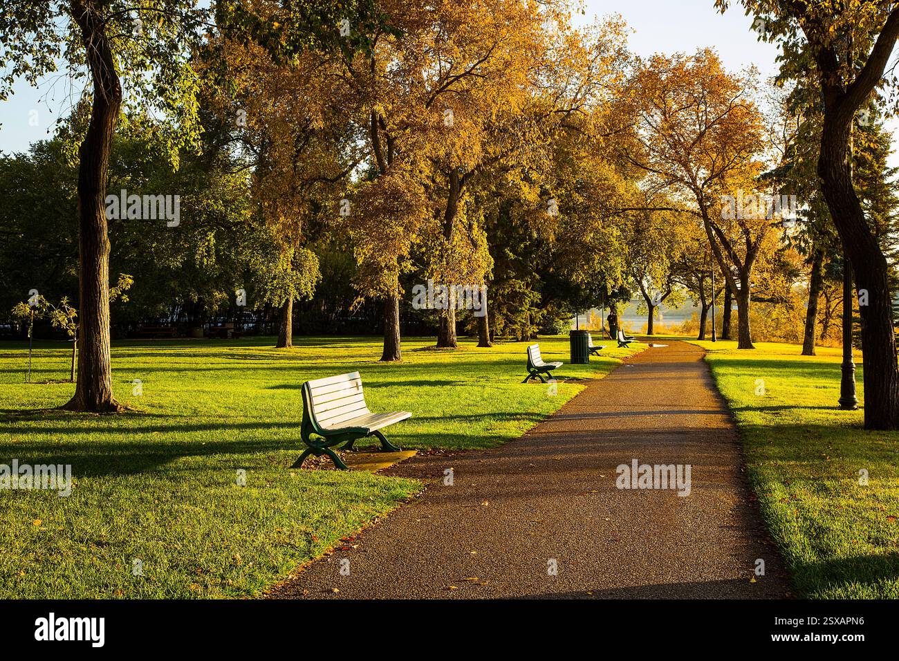 Park with a path and benches. The benches are green and there is a ...