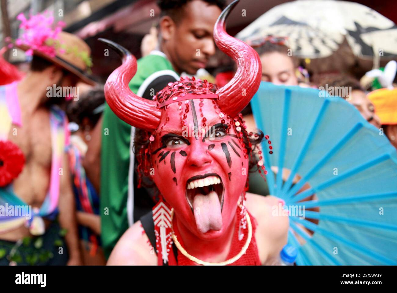 Rio De Janeiro, Brazil. 23rd Feb, 2025. The cordon do boitata parade is ...
