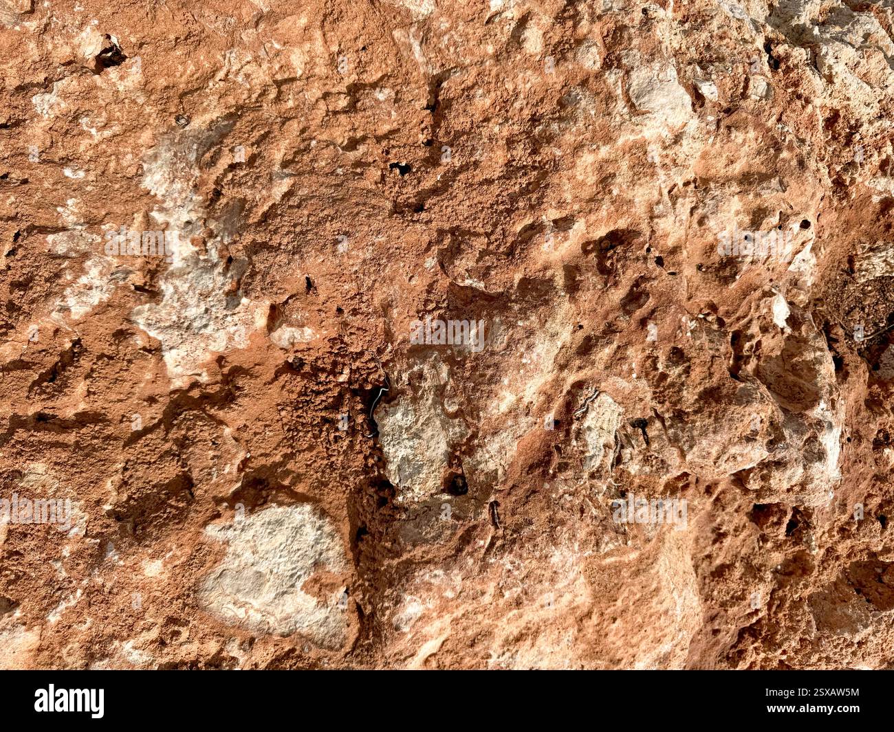 Close-up of textured rock surface revealing geological formations and ...
