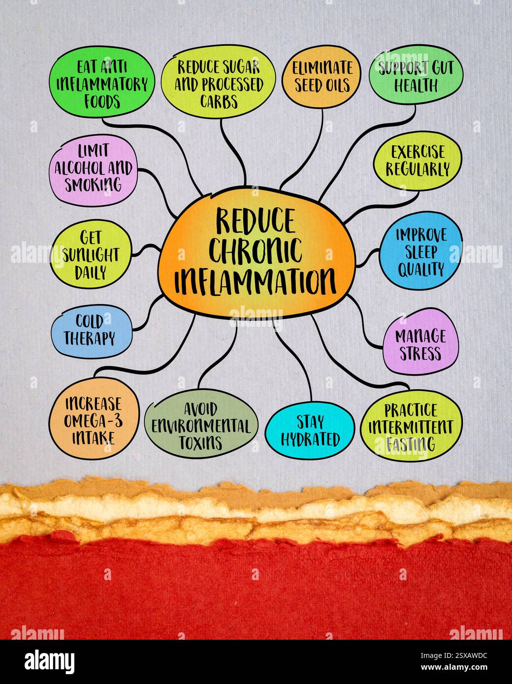 How to reduce chronic inflammation tips. Infographics sketch Stock ...