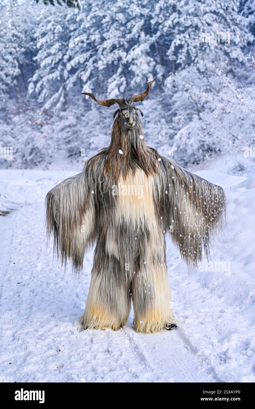 Kukeri performers clad in thick goat fur costumes and elaborate masks ...