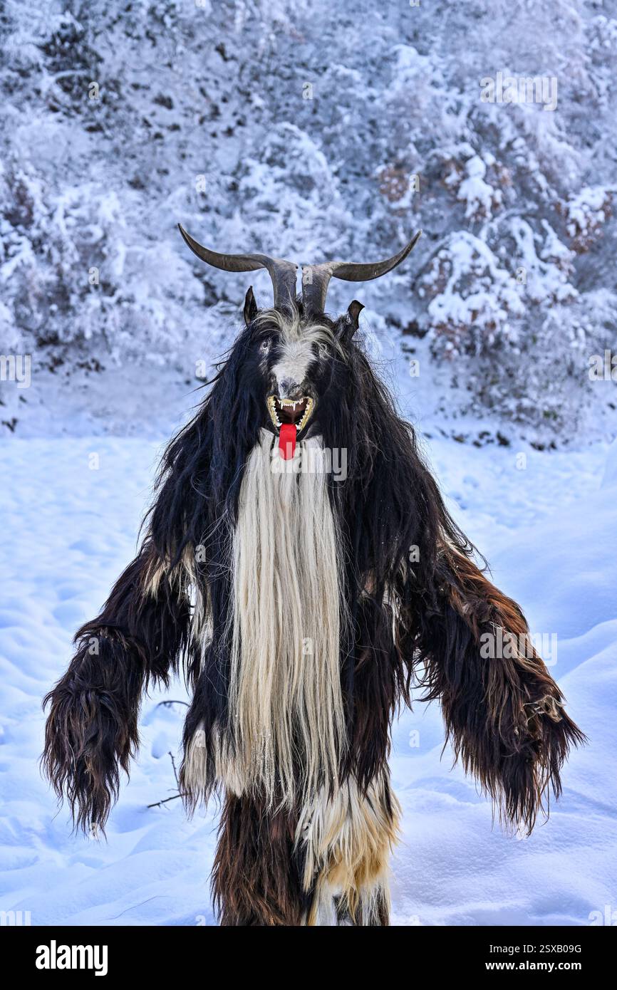 Kukeri performers clad in thick goat fur costumes and elaborate masks ...