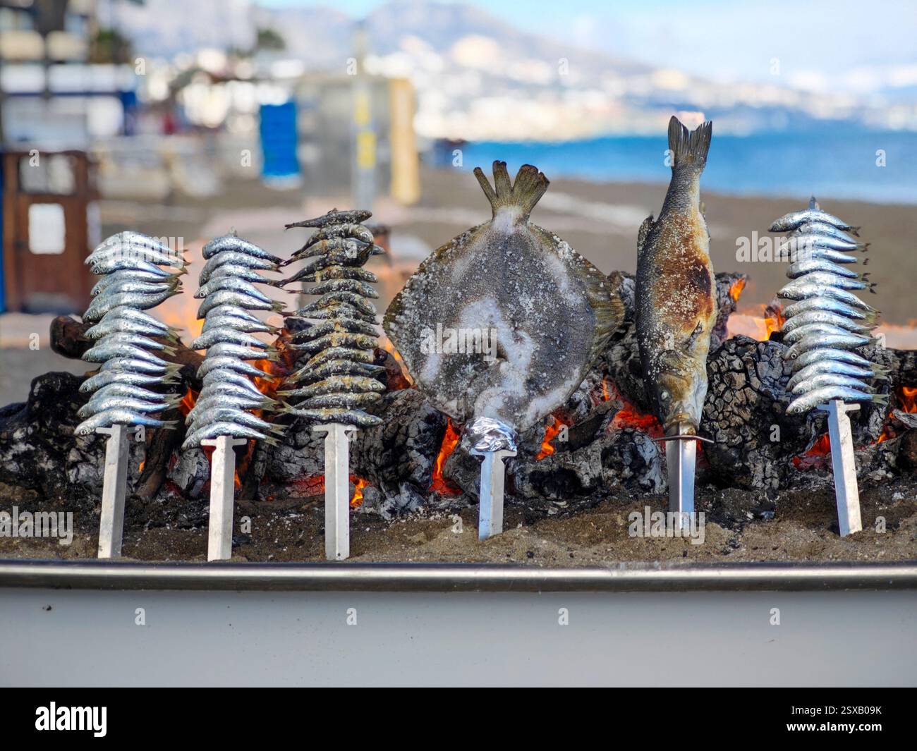Grilled fish and sardines on a barbecue boat in Malaga, Spain Stock ...