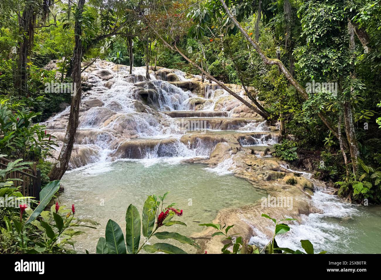 Beautiful The Dunns river falls ocho rios jamaica Stock Photo - Alamy