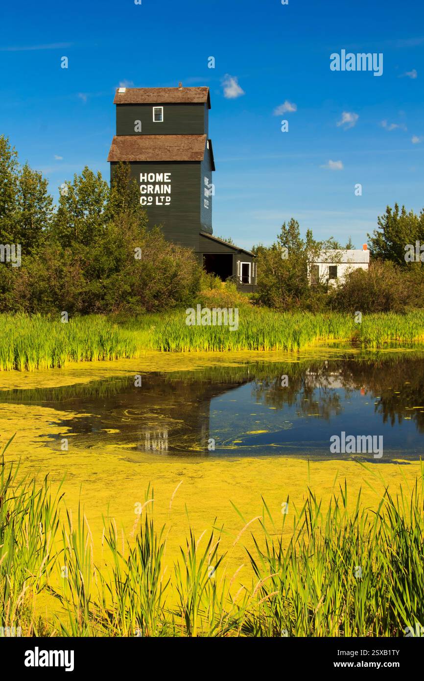 Large grain silo with the words Home Grain on it. The silo is ...