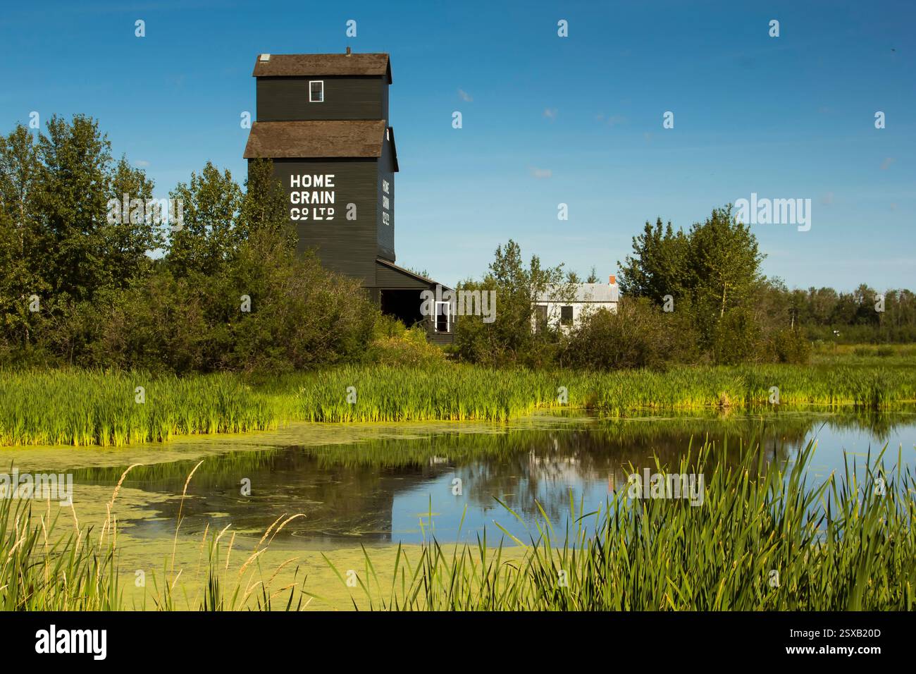 Large grain silo with the words home grain on it. The silo is black and ...