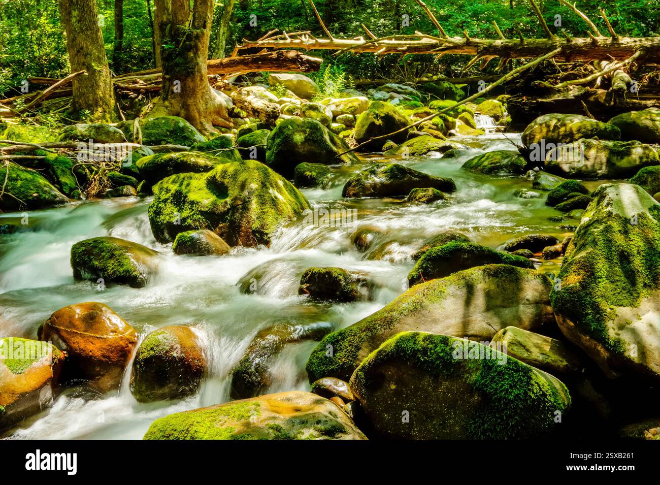 Stream of water flows through a rocky area. The water is clear and the ...