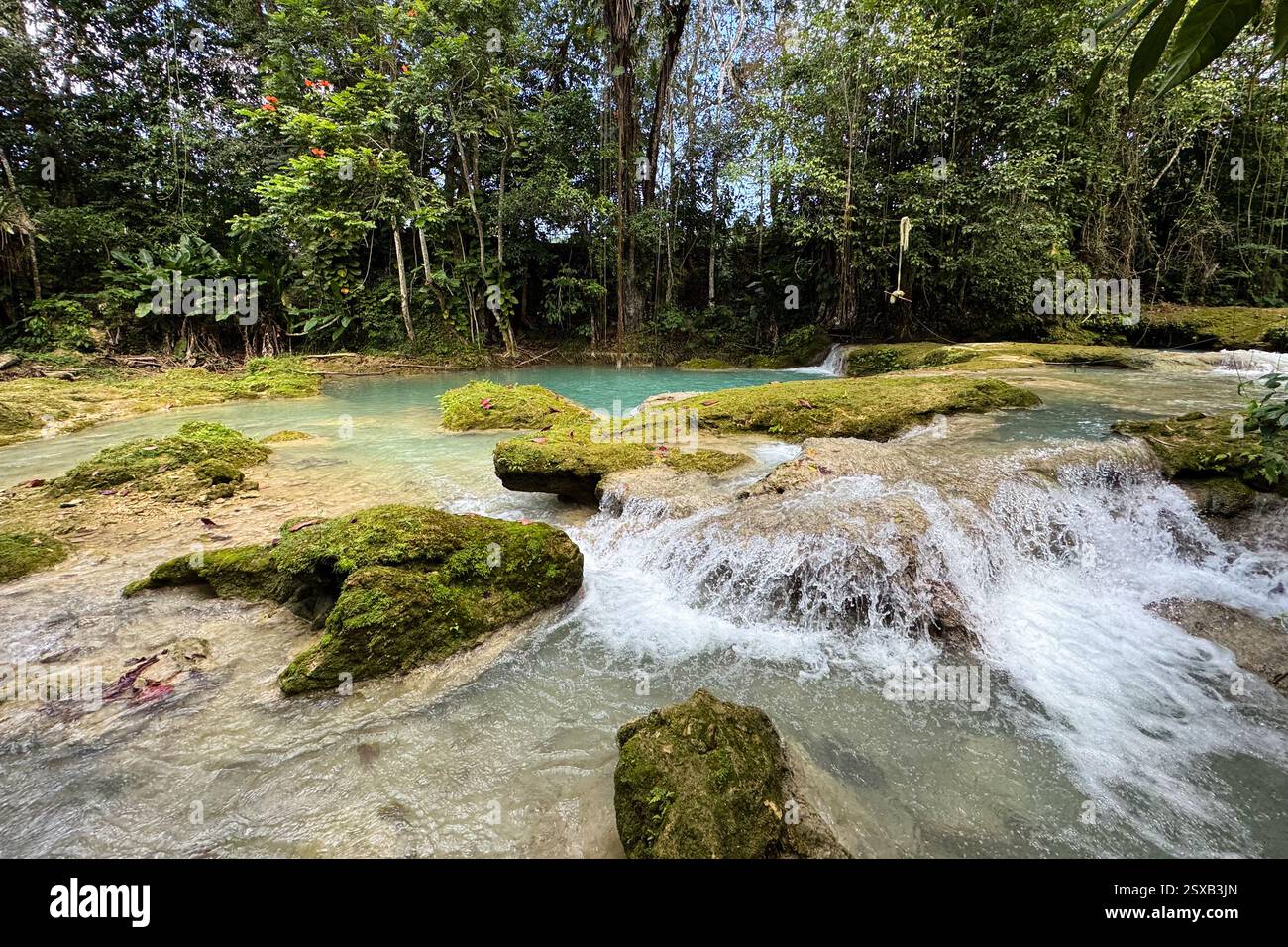 Jamaica famous Blue hole waterfall in Ocho Rios Stock Photo - Alamy