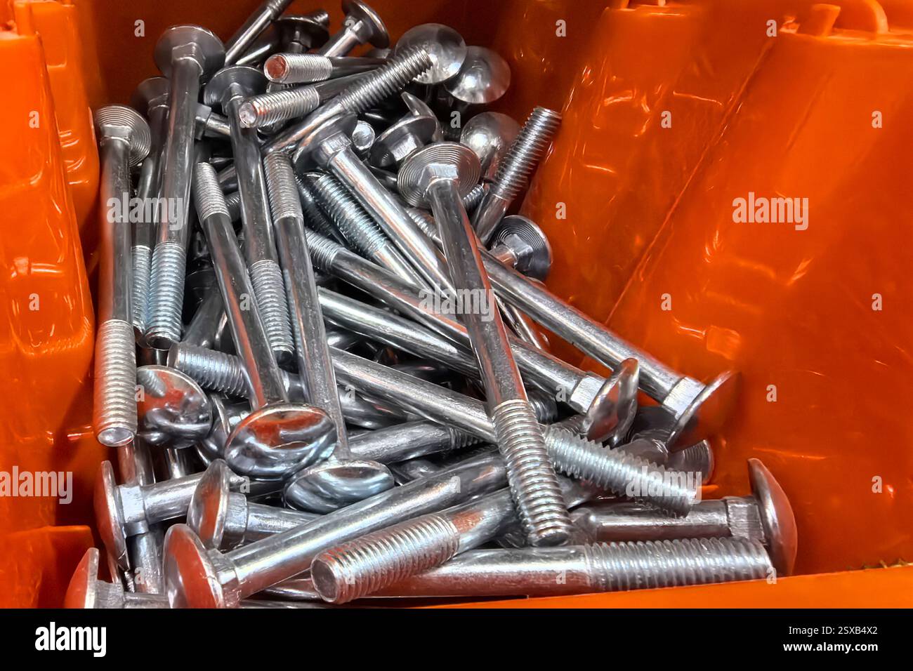 Various sizes of shiny metal bolts and screws are neatly organized in a ...