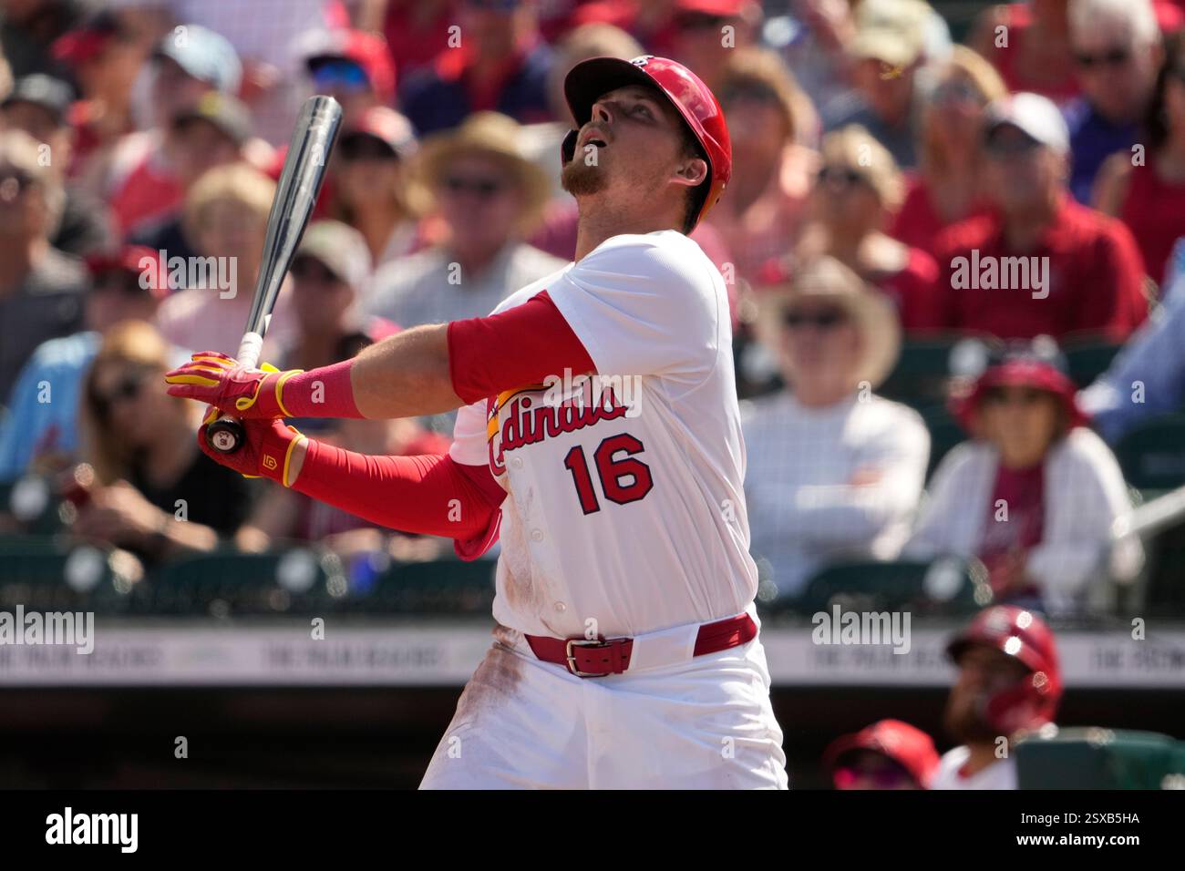 St. Louis Cardinals' Nolan Gorman pops out during the third inning of a ...