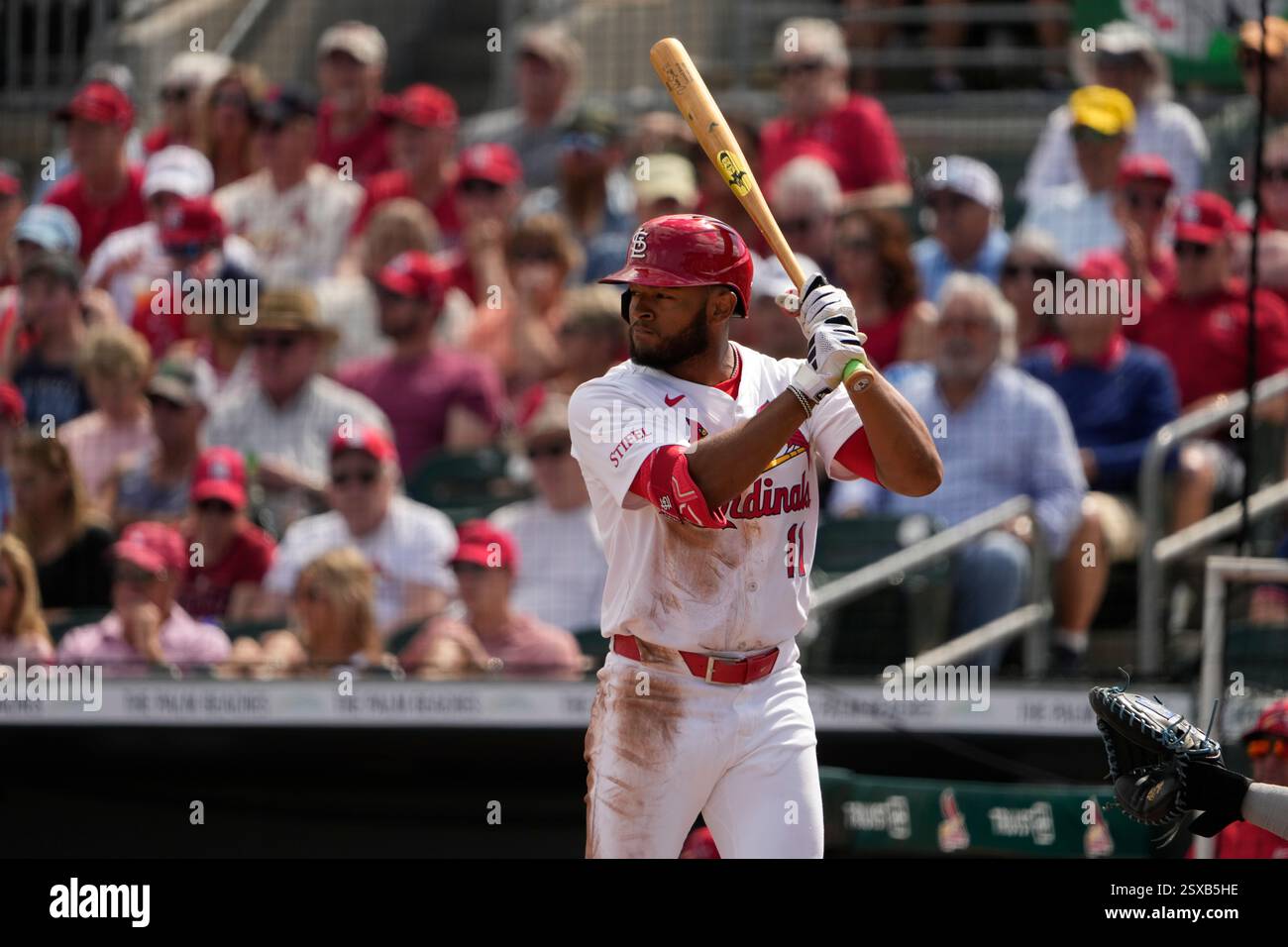 St. Louis Cardinals' Victor Scott II bats during the second inning of a ...
