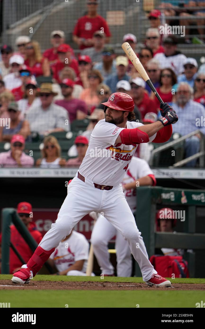 St. Louis Cardinals' Alec Burleson bats during the first inning of a ...