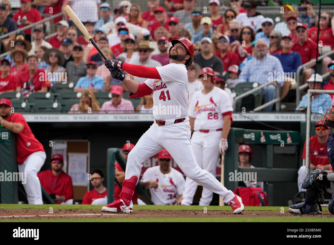 St. Louis Cardinals' Alec Burleson fouls off a pitch during the first ...