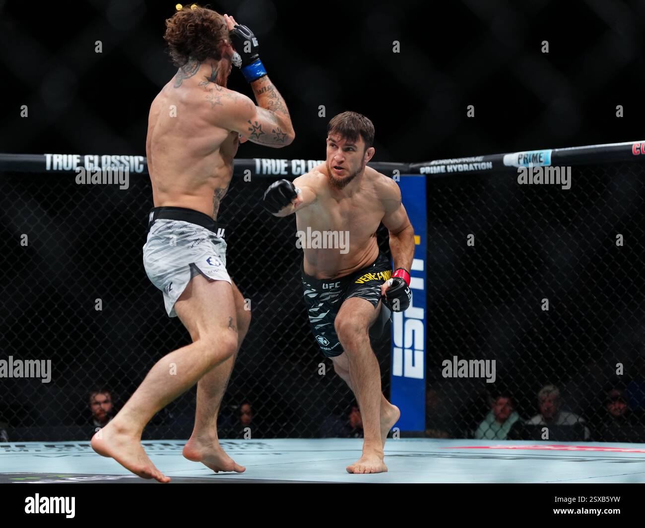 Seattle, Wa, United States. 22nd Feb, 2025. SEATTLE, WA - FEBRUARY 22 ...